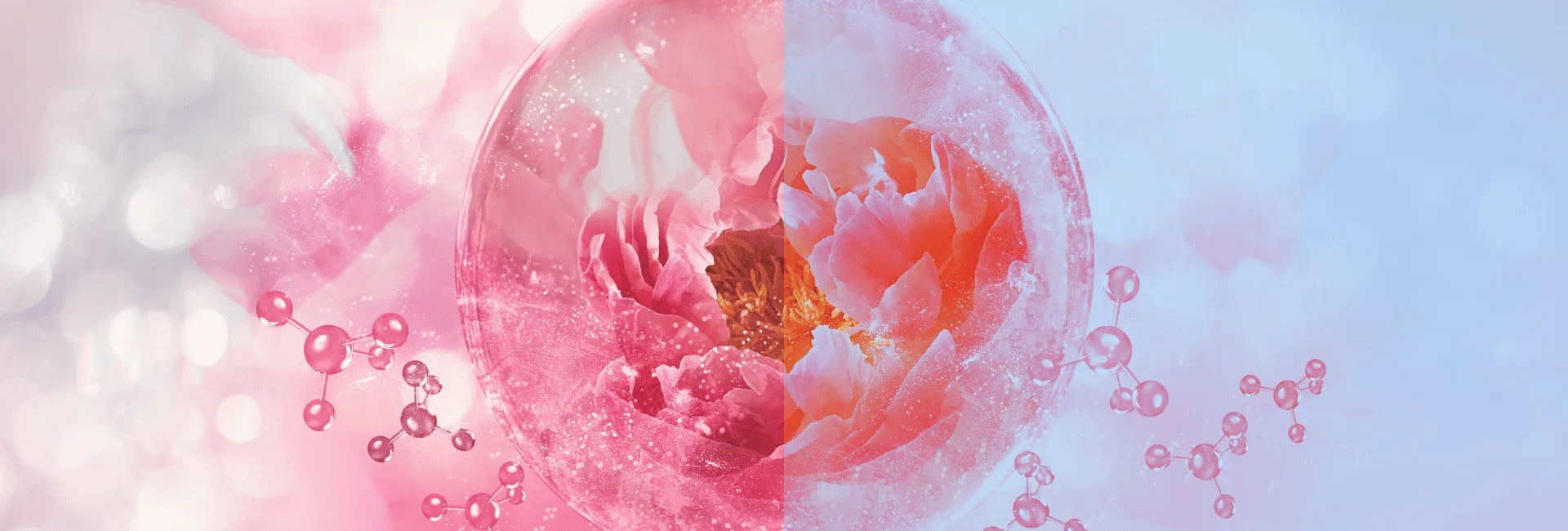 👃Why Does My Perfume Smell Different Factors That Affect Fragrance ...